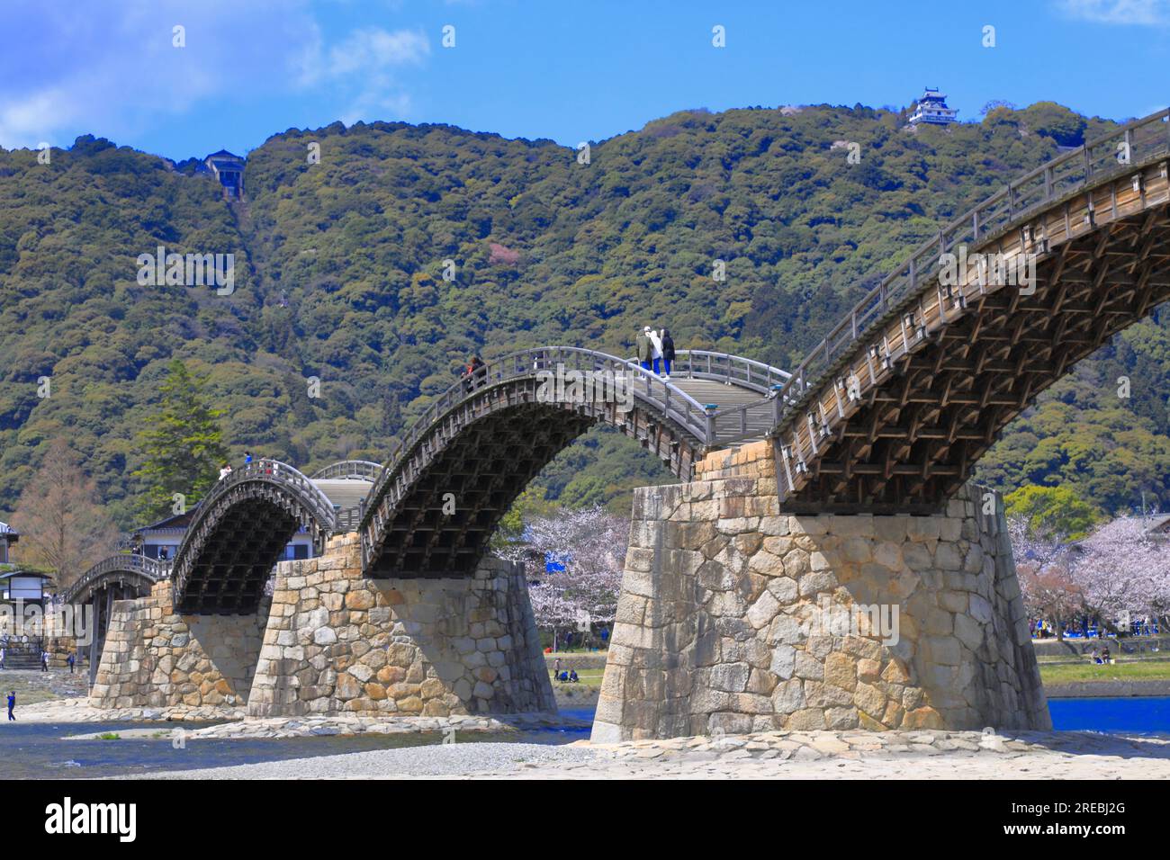 Kintai Bridge in spring Stock Photo - Alamy