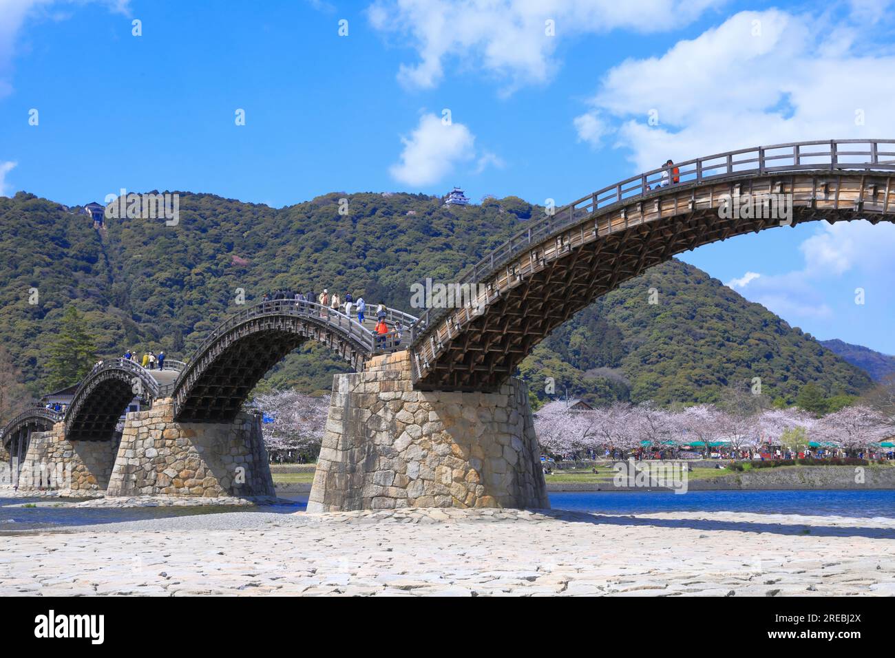 Kintai Bridge in spring Stock Photo - Alamy