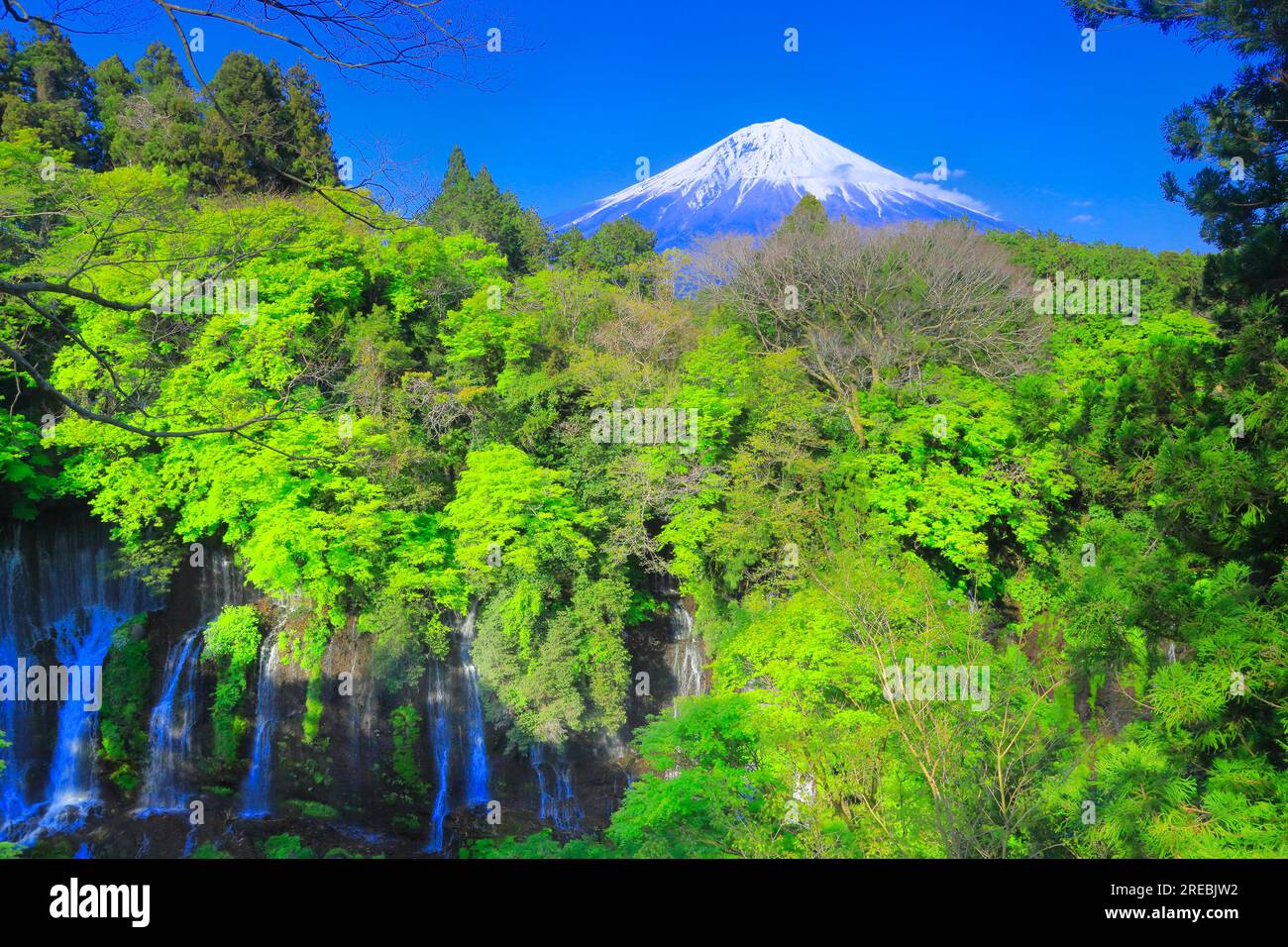 Mt. Fuji and Fresh Green Shiraito Waterfall Stock Photo - Alamy