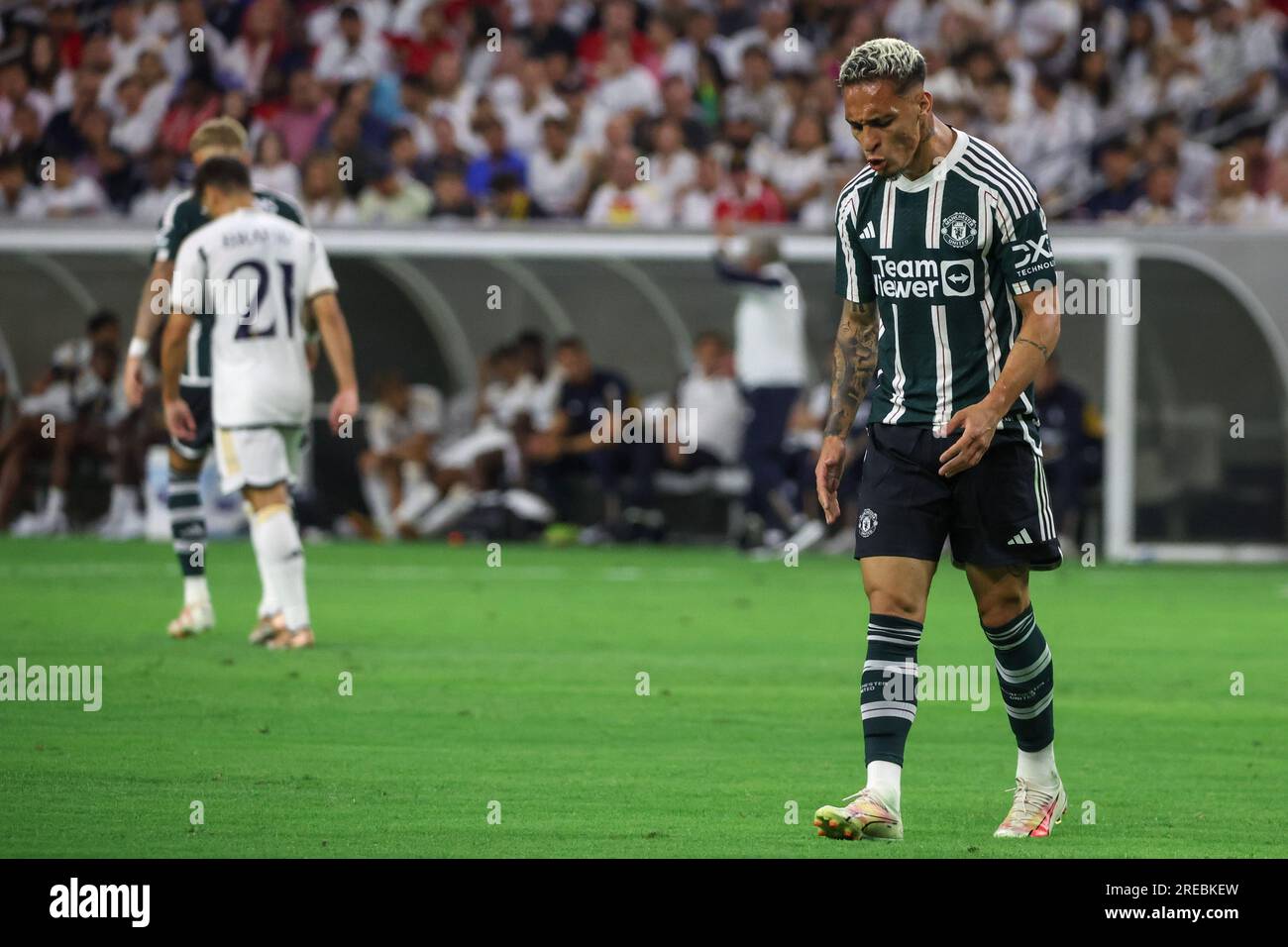 Real ester hi-res stock photography and images - Alamy