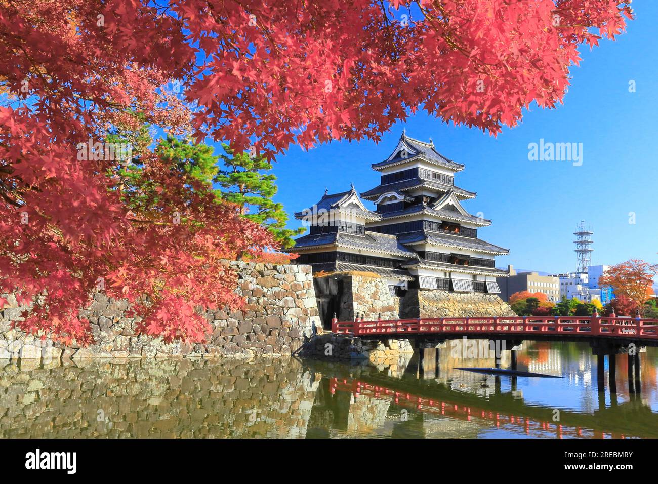 Matsumoto Castle in Autumn Leaves Stock Photo - Alamy