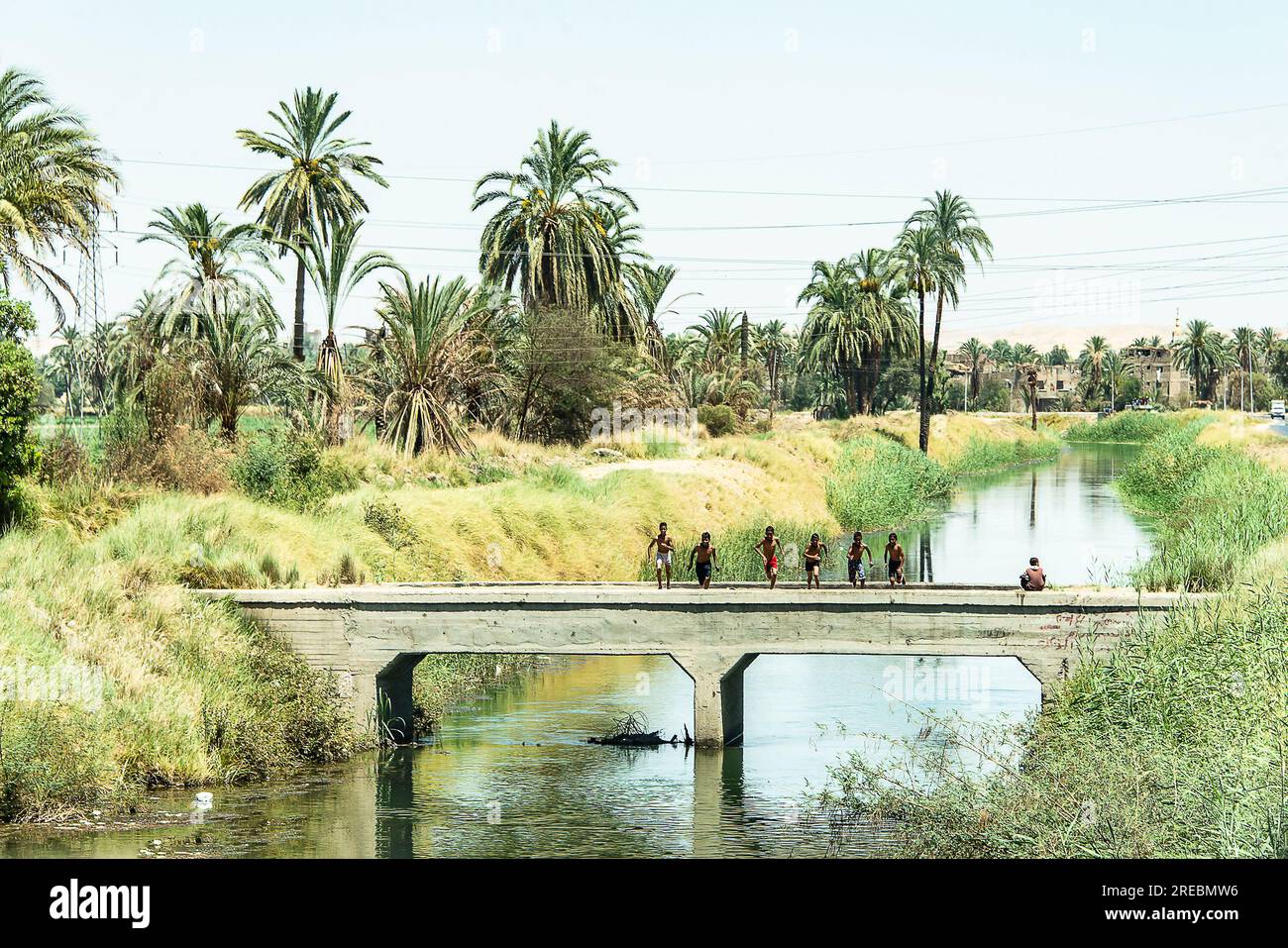Egypt 17.05.2018 View across rural egypt near river Nile in Egypt rural ...