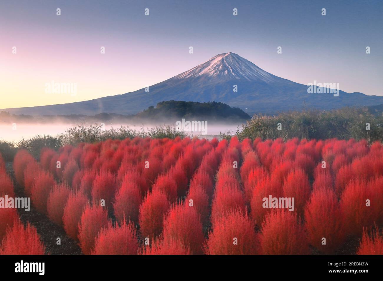 Pre dawn lake view hi-res stock photography and images - Alamy