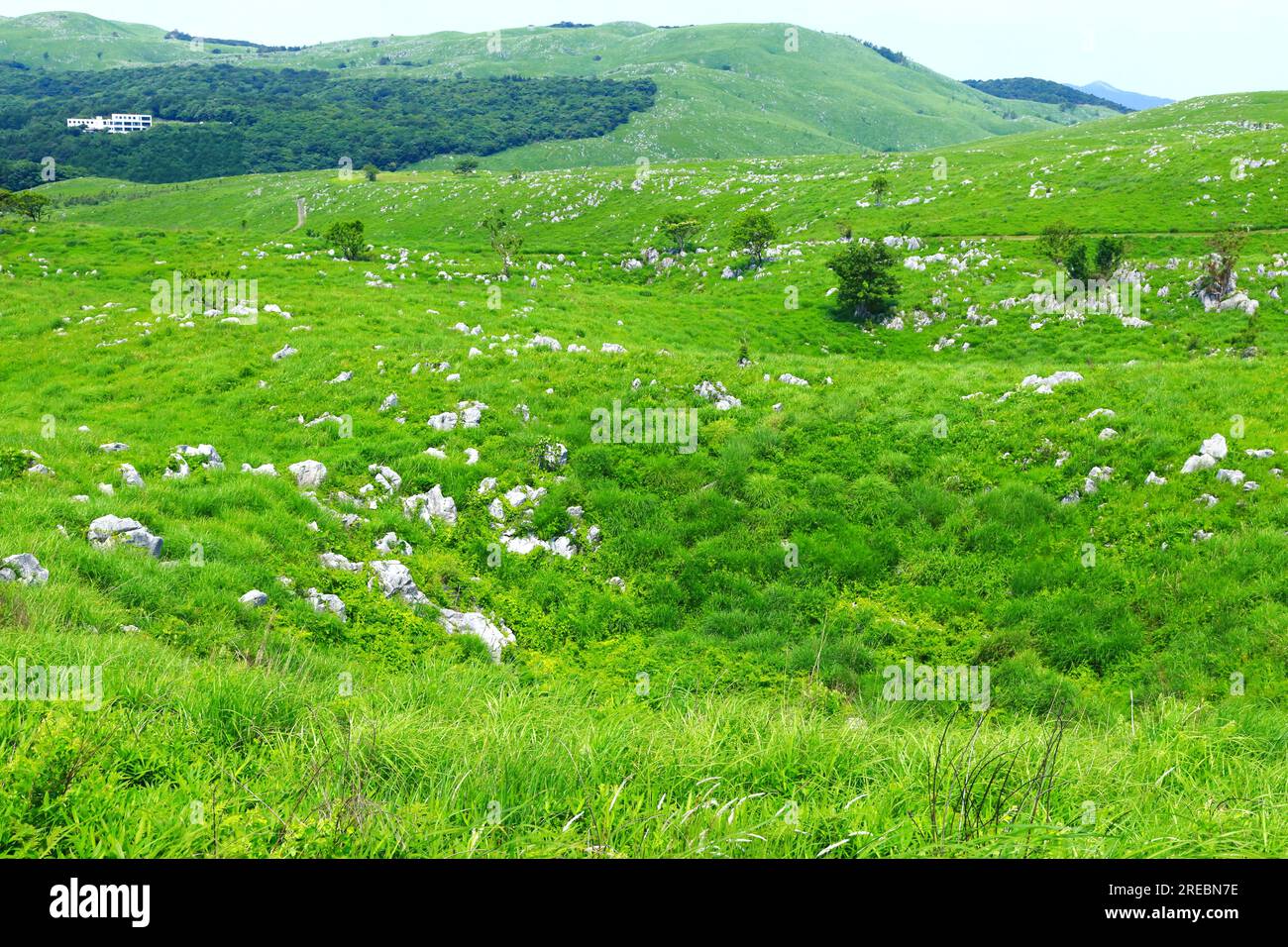 Doline in Akiyoshidai Stock Photo - Alamy