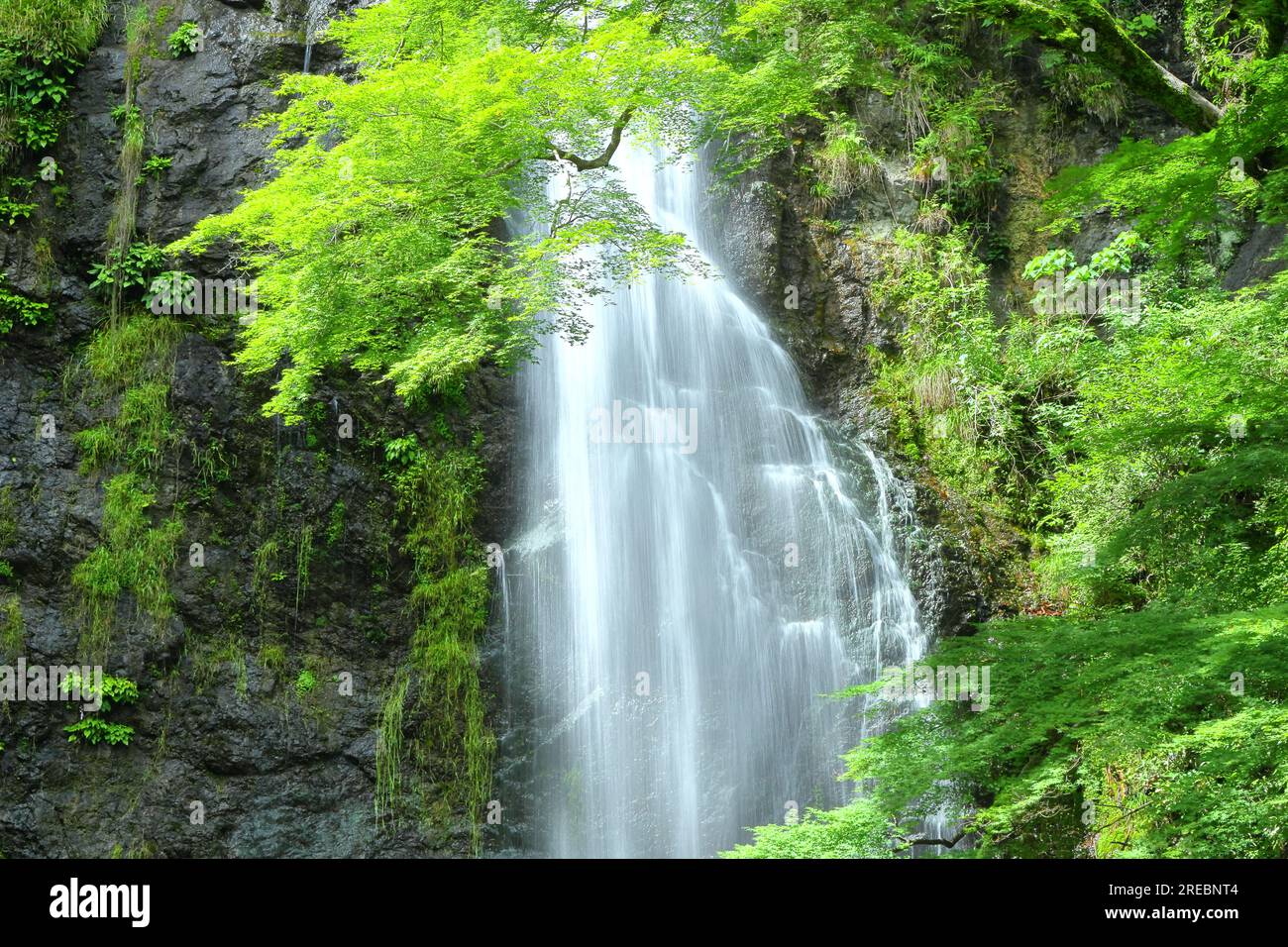 Minoh Falls in early summer Stock Photo - Alamy