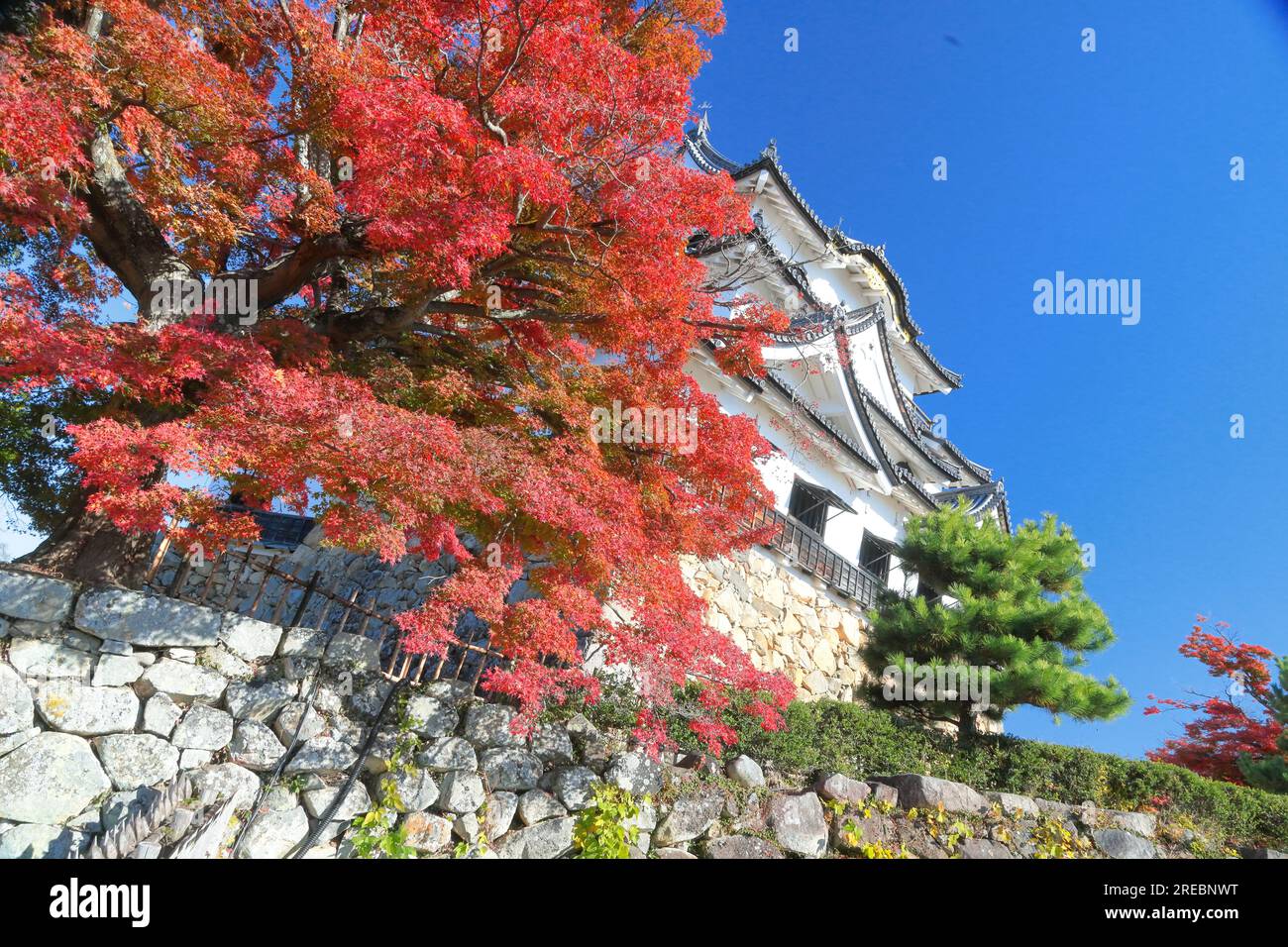 Hikone shiga kinki japan hi-res stock photography and images - Alamy
