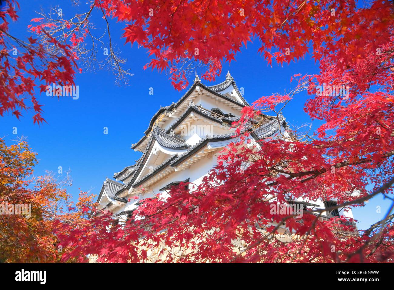 Hikone shiga kinki japan hi-res stock photography and images - Alamy