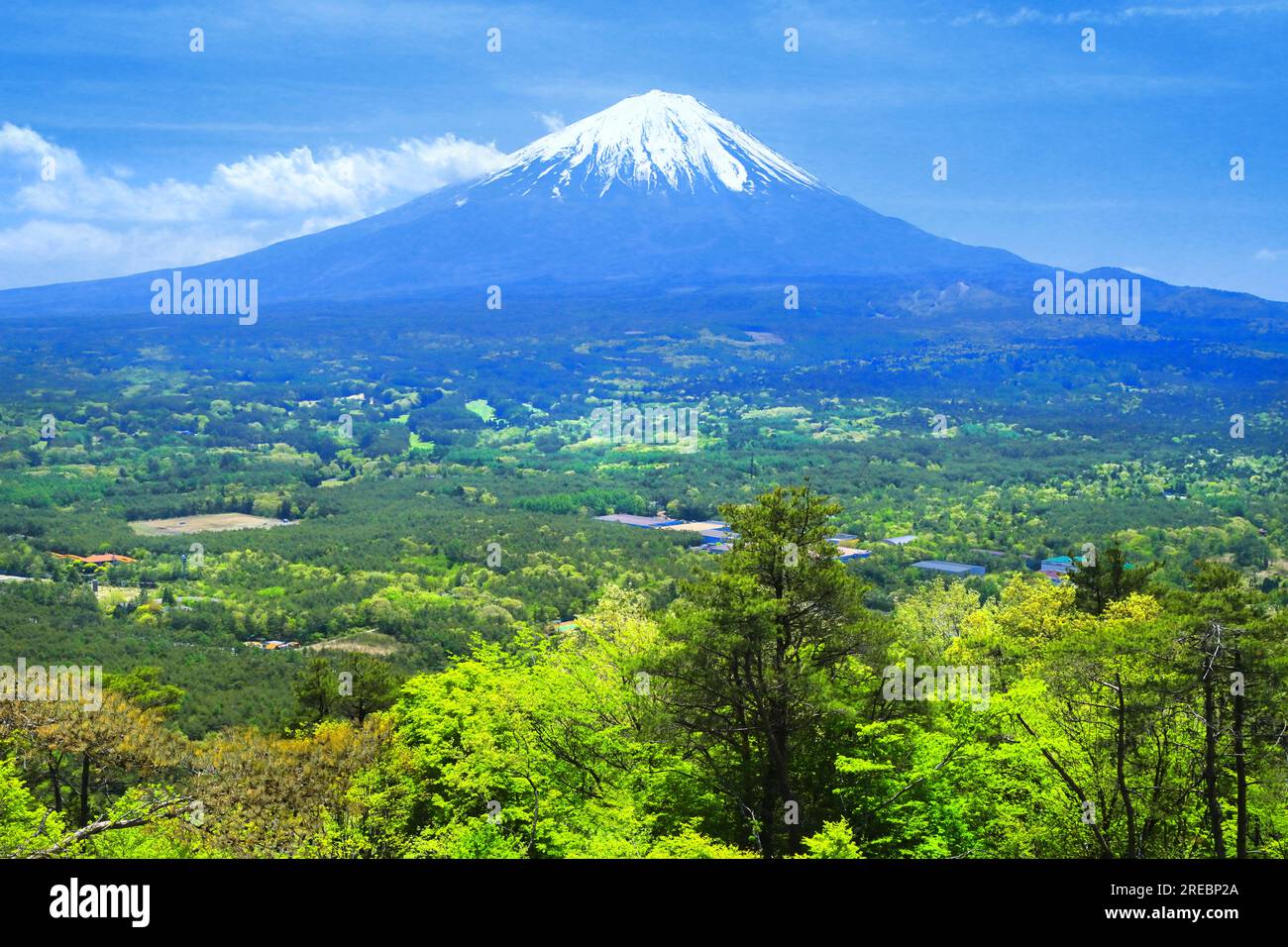 Fresh Greenery from Momiji-dai and Mt Stock Photo - Alamy