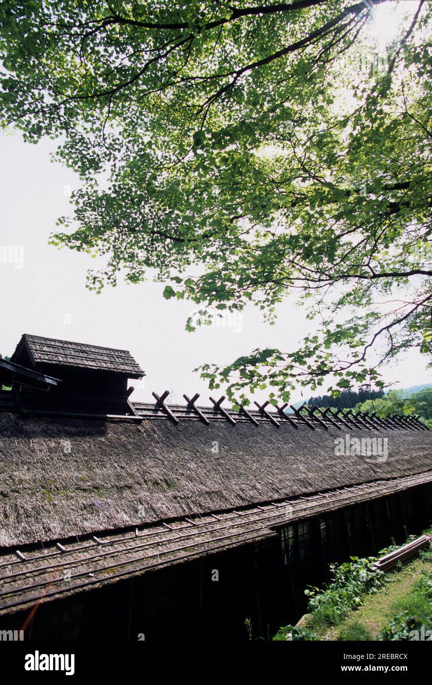 Spring village hi-res stock photography and images - Alamy