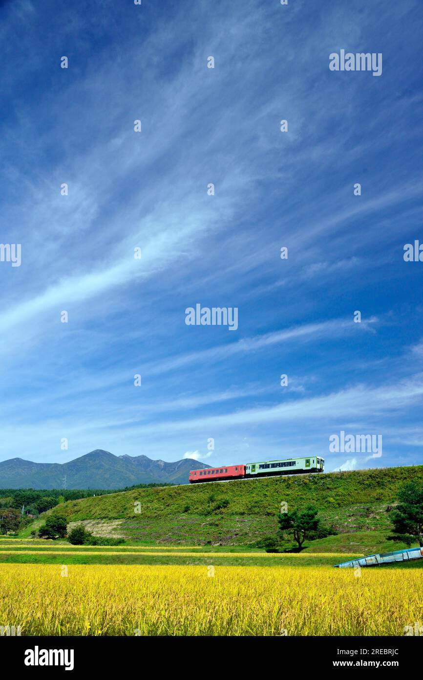 Yatsugatake Kogen Train Stock Photo - Alamy