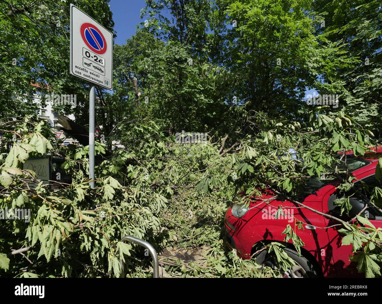 Car trees accident crushed hi-res stock photography and images - Alamy