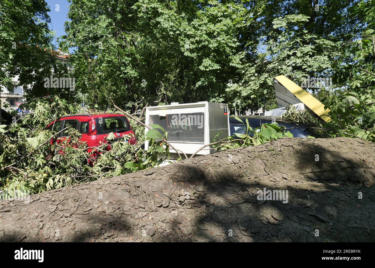Storm in the center of Milan, a lot of damage, fallen trees and crushed ...