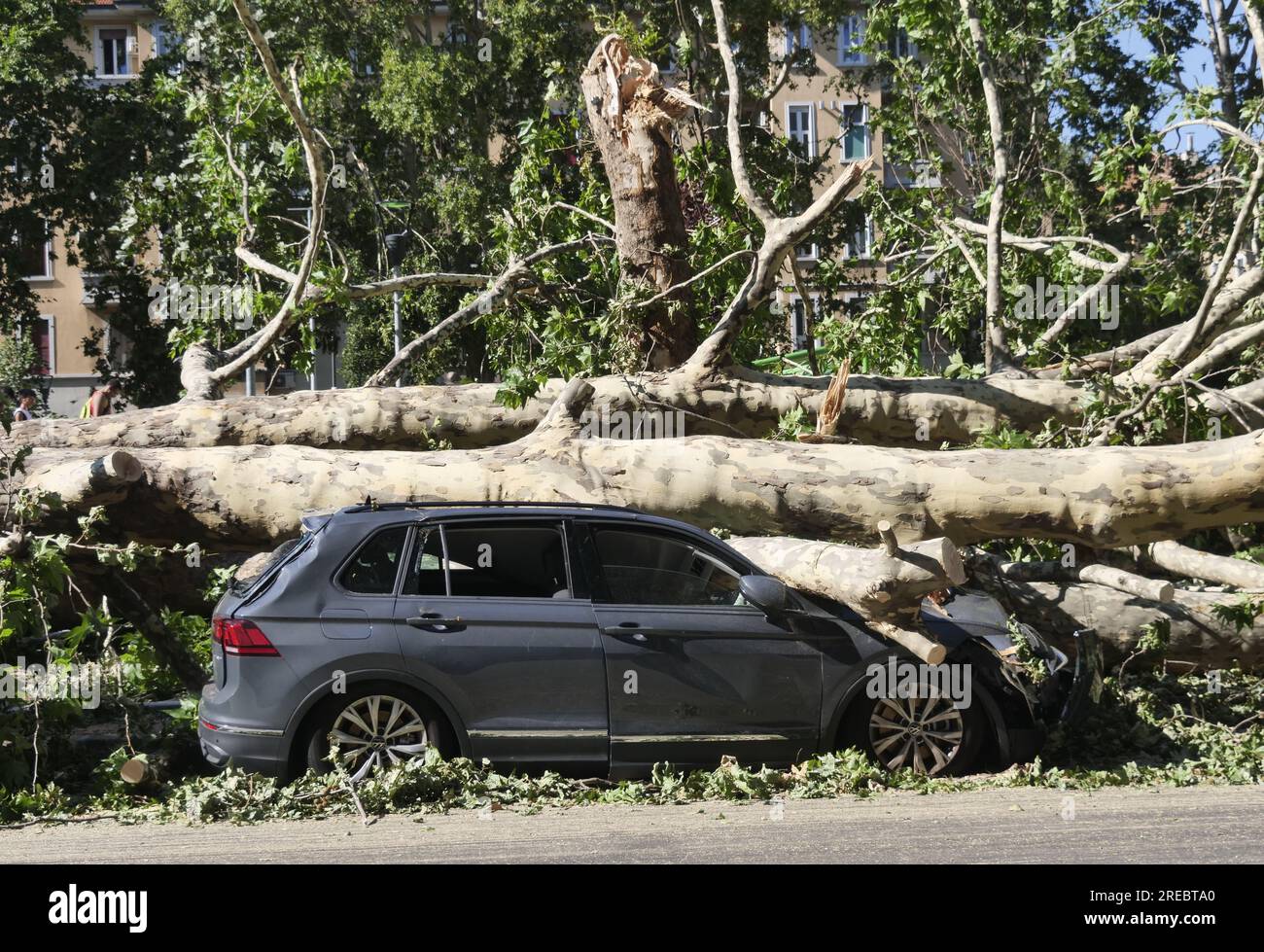 Car trees accident crushed hi-res stock photography and images - Alamy