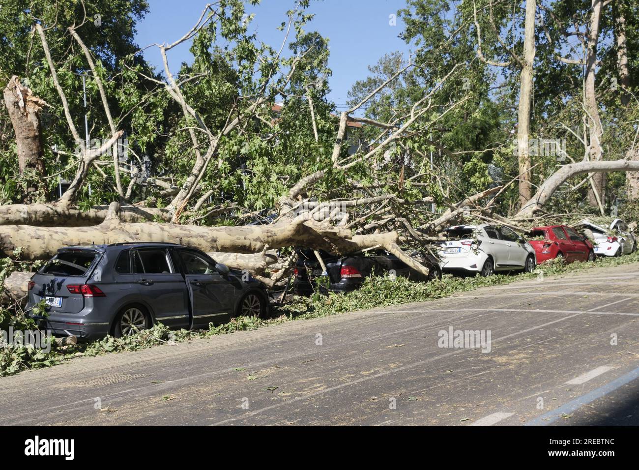 Storm in the center of Milan, a lot of damage, fallen trees and crushed ...