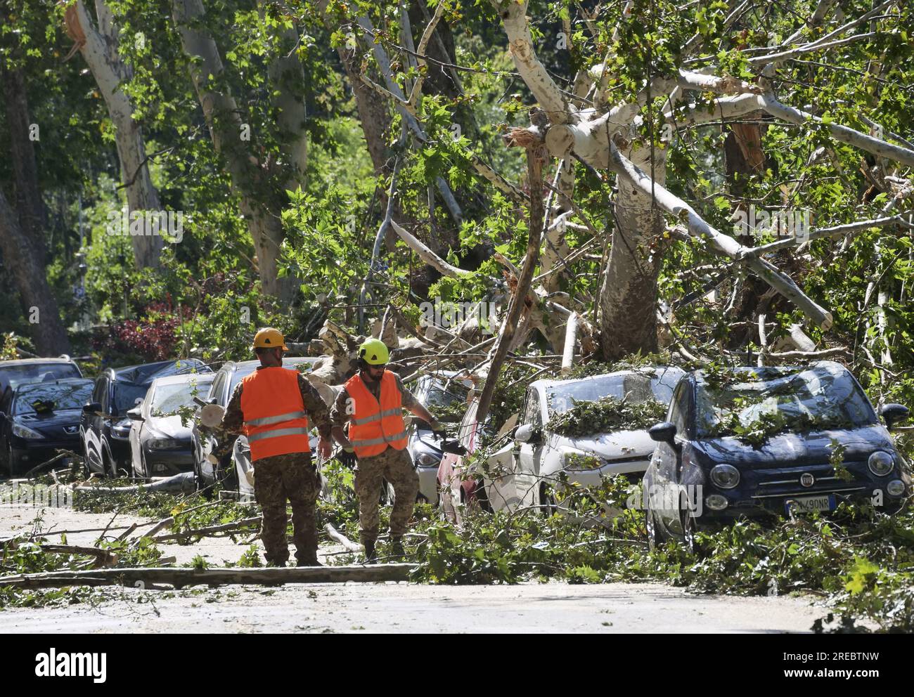 Storm in the center of Milan, a lot of damage, fallen trees and crushed ...