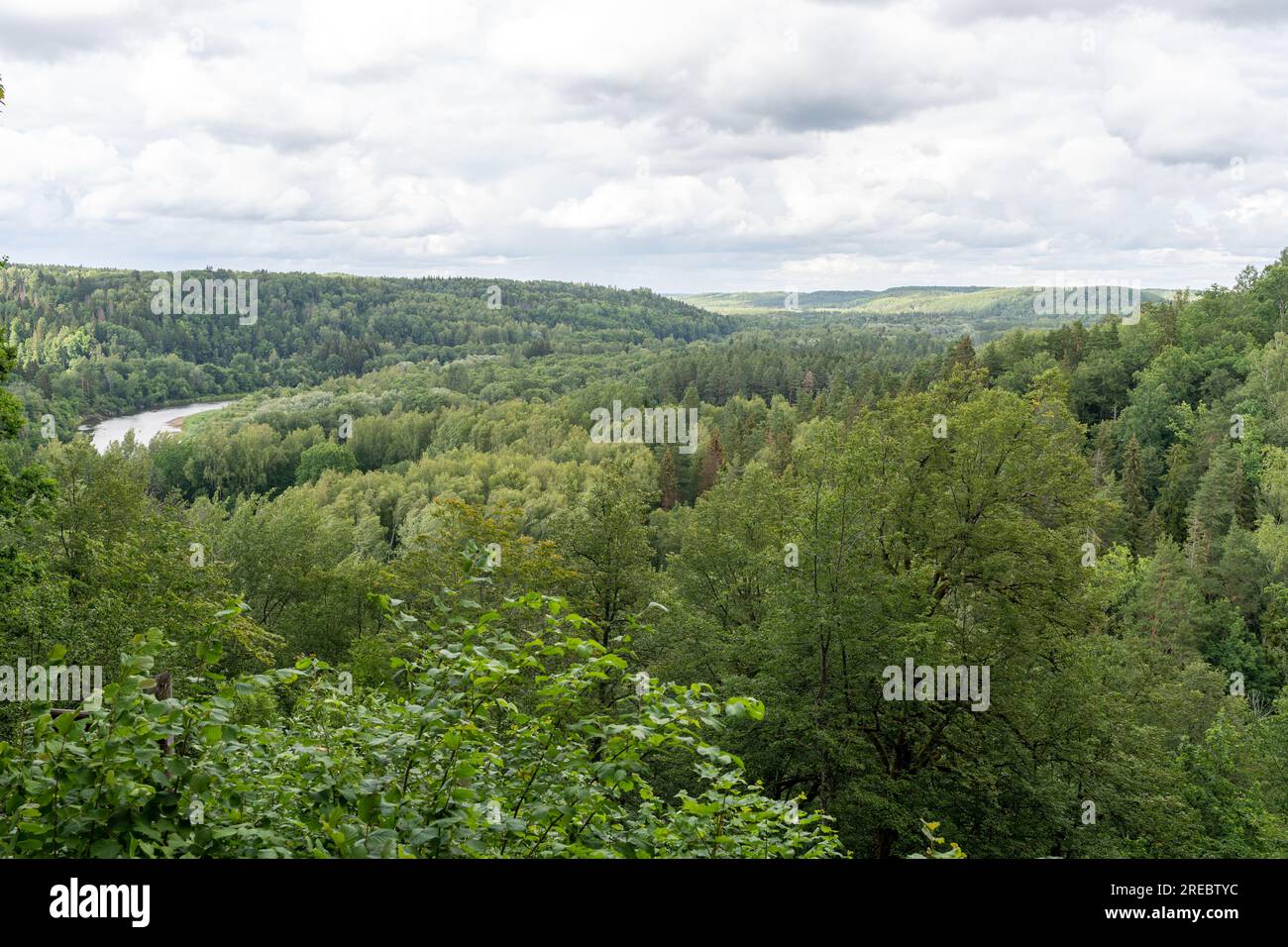Gaujas park hi-res stock photography and images - Alamy