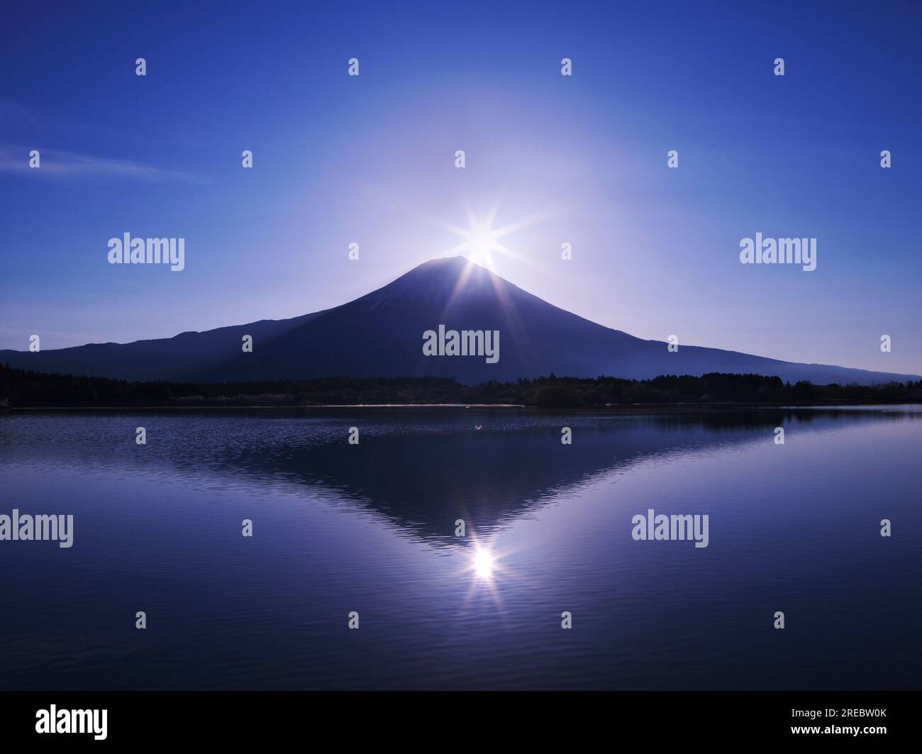 Japan tanuki hi-res stock photography and images - Alamy