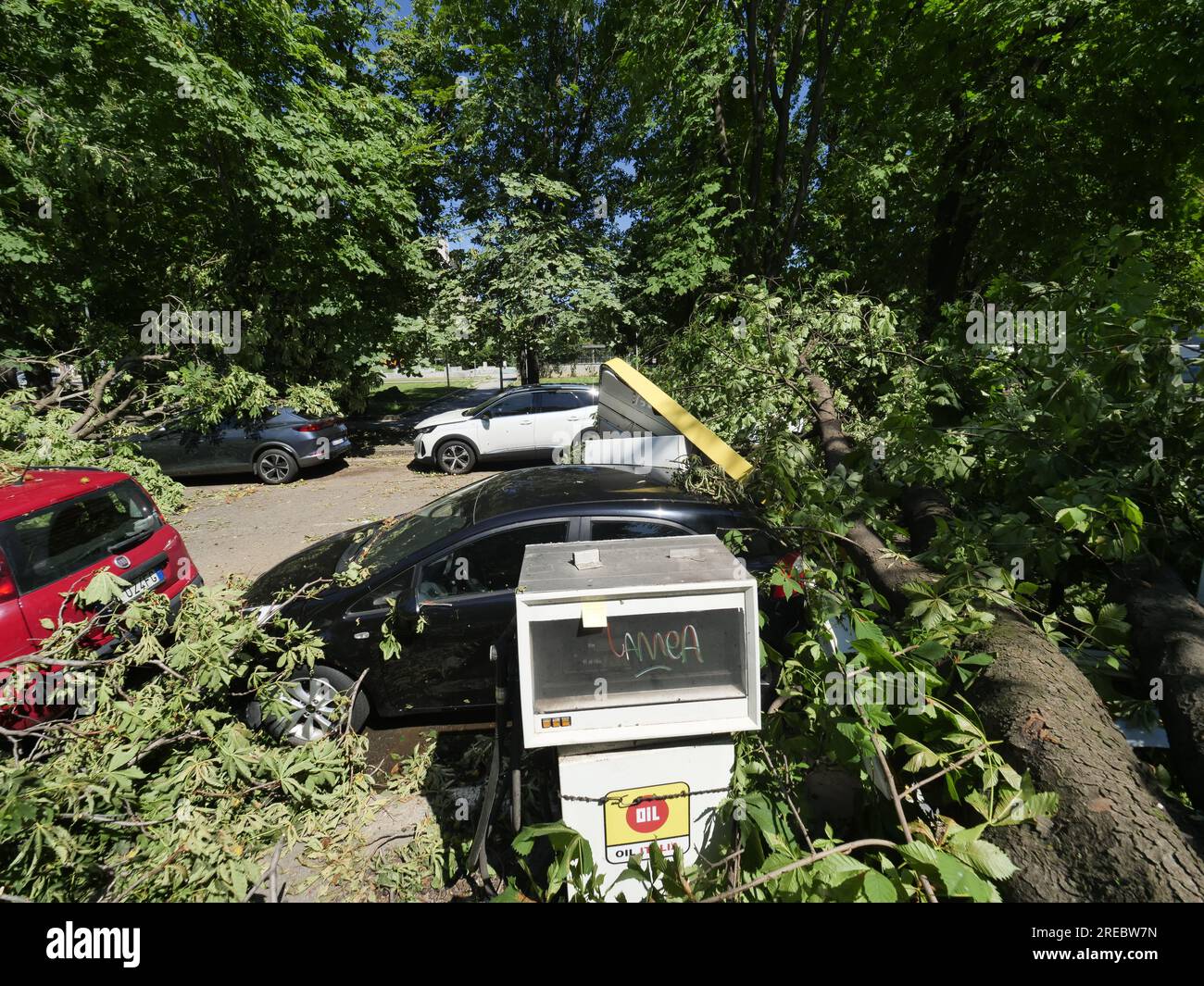 Storm in the center of Milan, a lot of damage, fallen trees and crushed ...