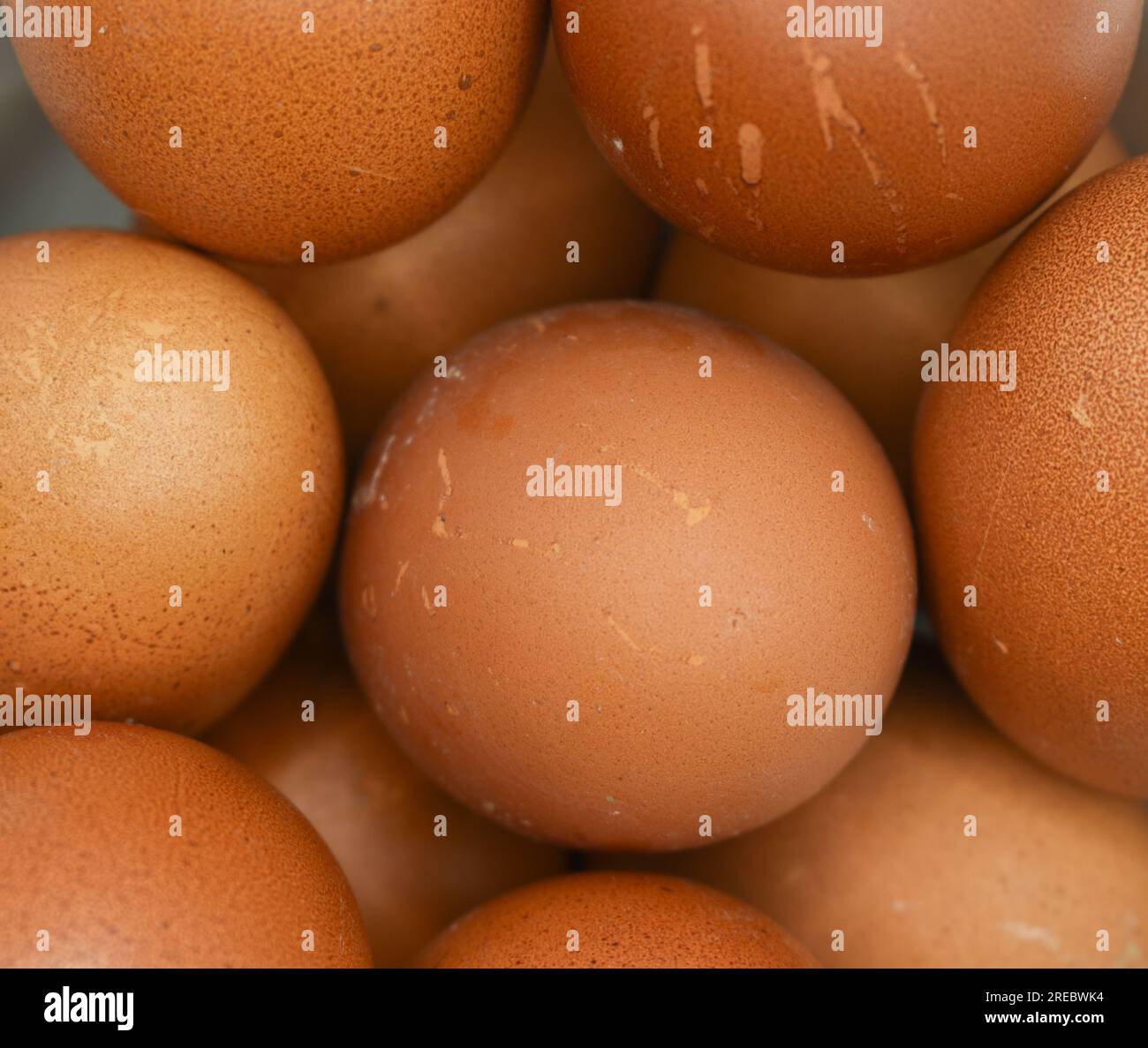Fresh eggs in a round red and white bowl photographed against a white ...
