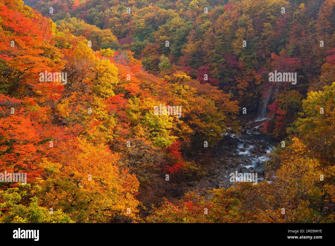 Matsukawa hi-res stock photography and images - Alamy