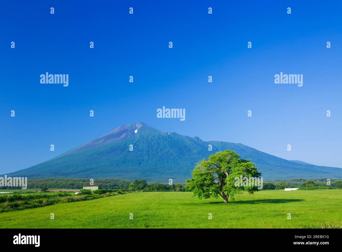 Iwate mountain hi-res stock photography and images - Alamy