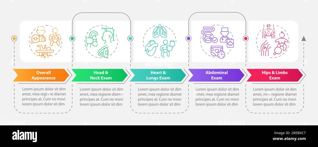 Baby physical exam rectangle infographic template Stock Vector Image ...