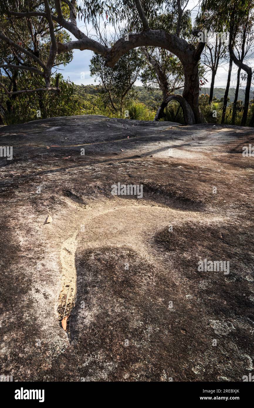Brisbane water hi-res stock photography and images - Alamy