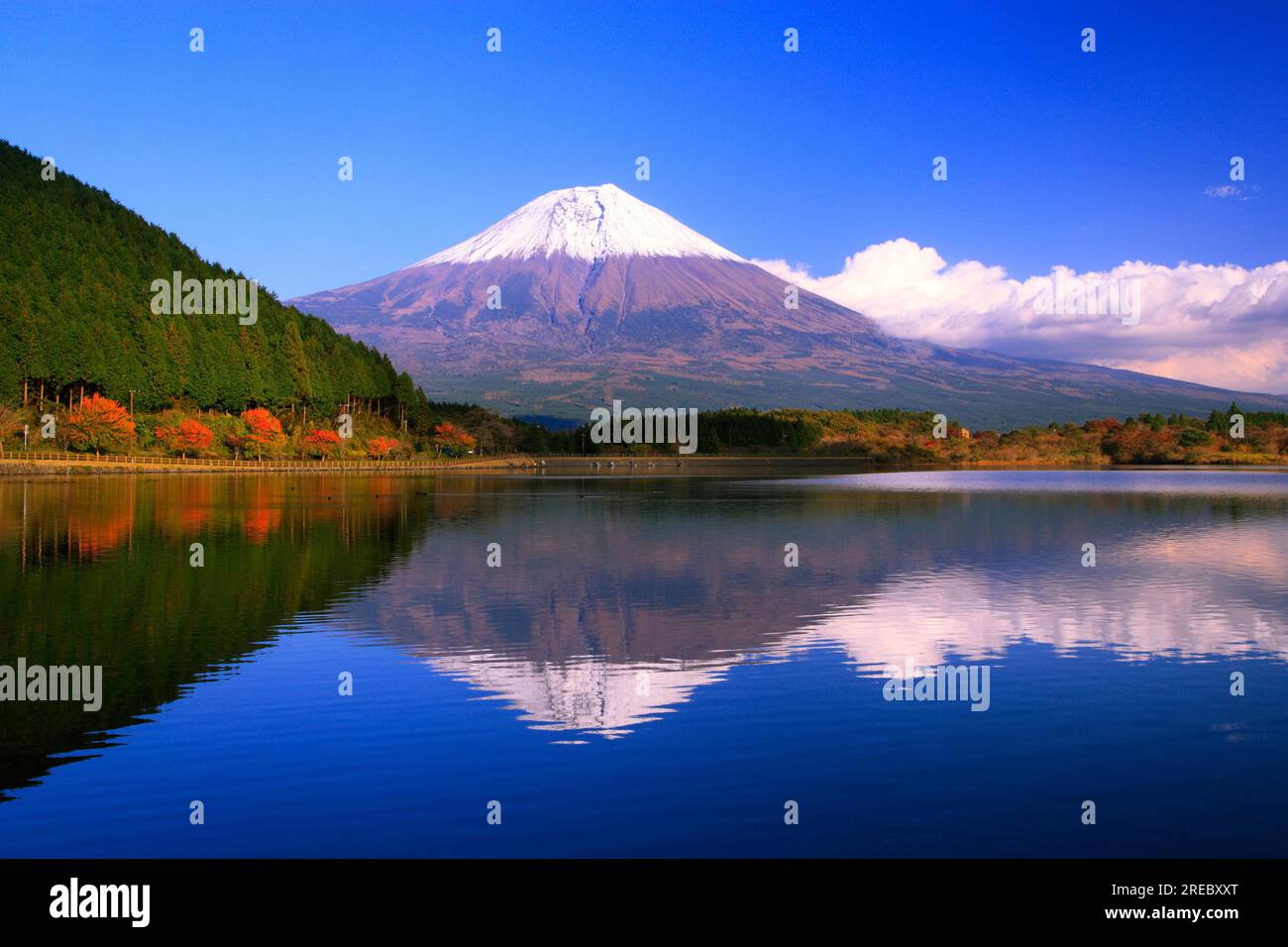 Fuji made hi-res stock photography and images - Alamy