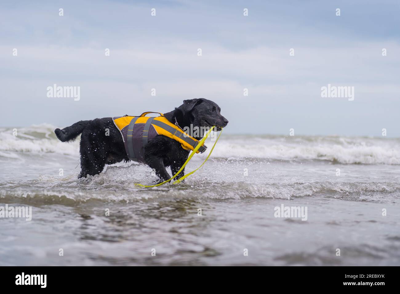 Wearing lifejacket life jacket hi-res stock photography and images - Alamy