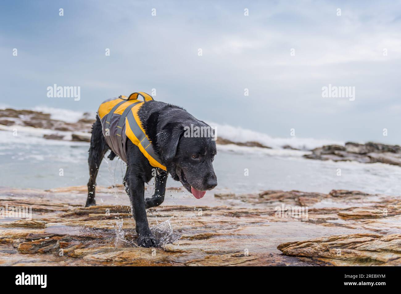 Wearing lifejacket life jacket hi-res stock photography and images - Alamy