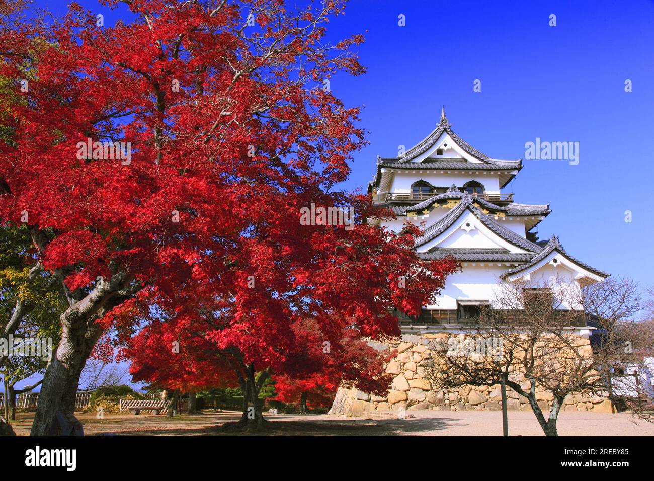 Hikone castle biwako hi-res stock photography and images - Alamy