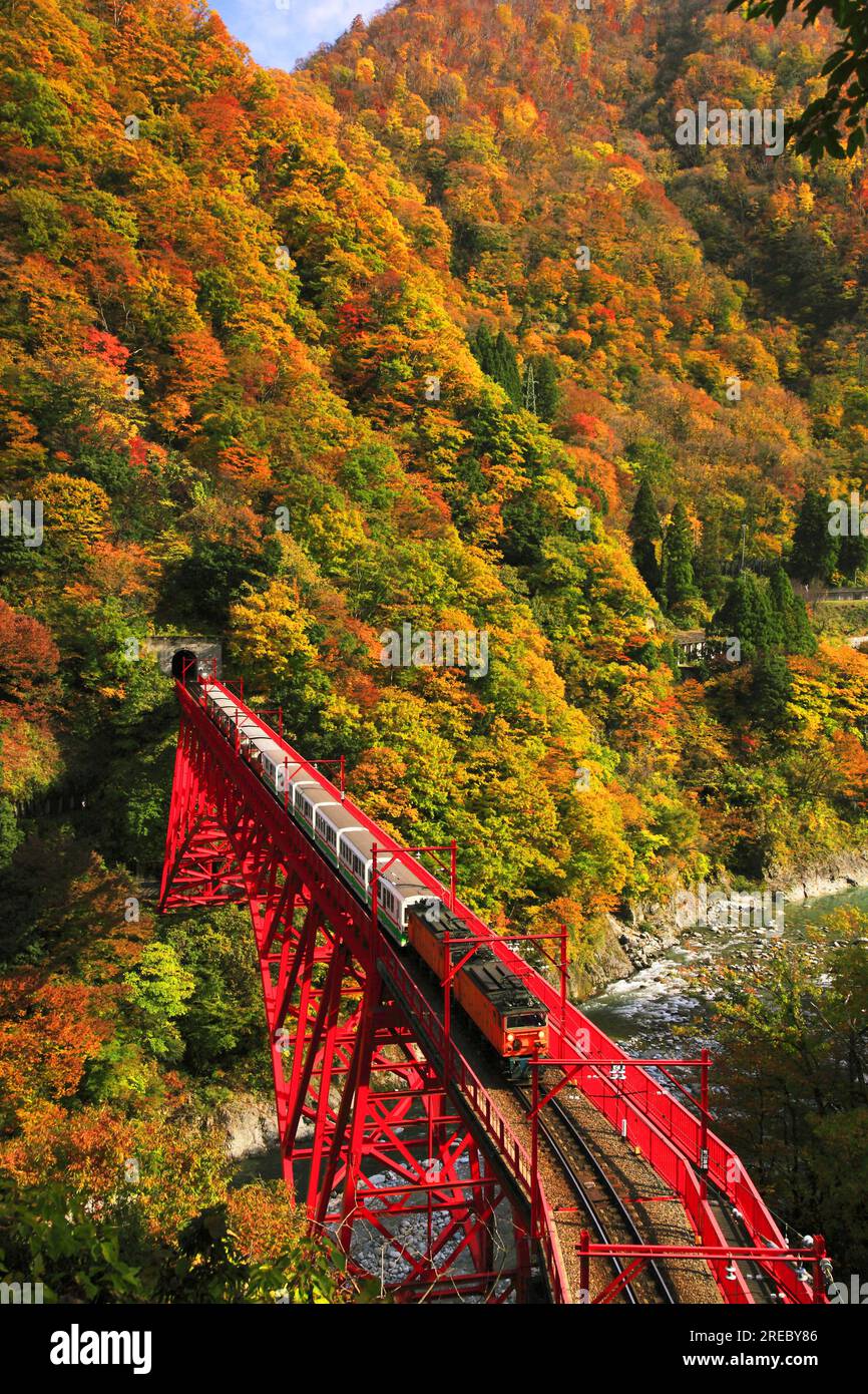 Kurobe Gorge Railway Stock Photo - Alamy