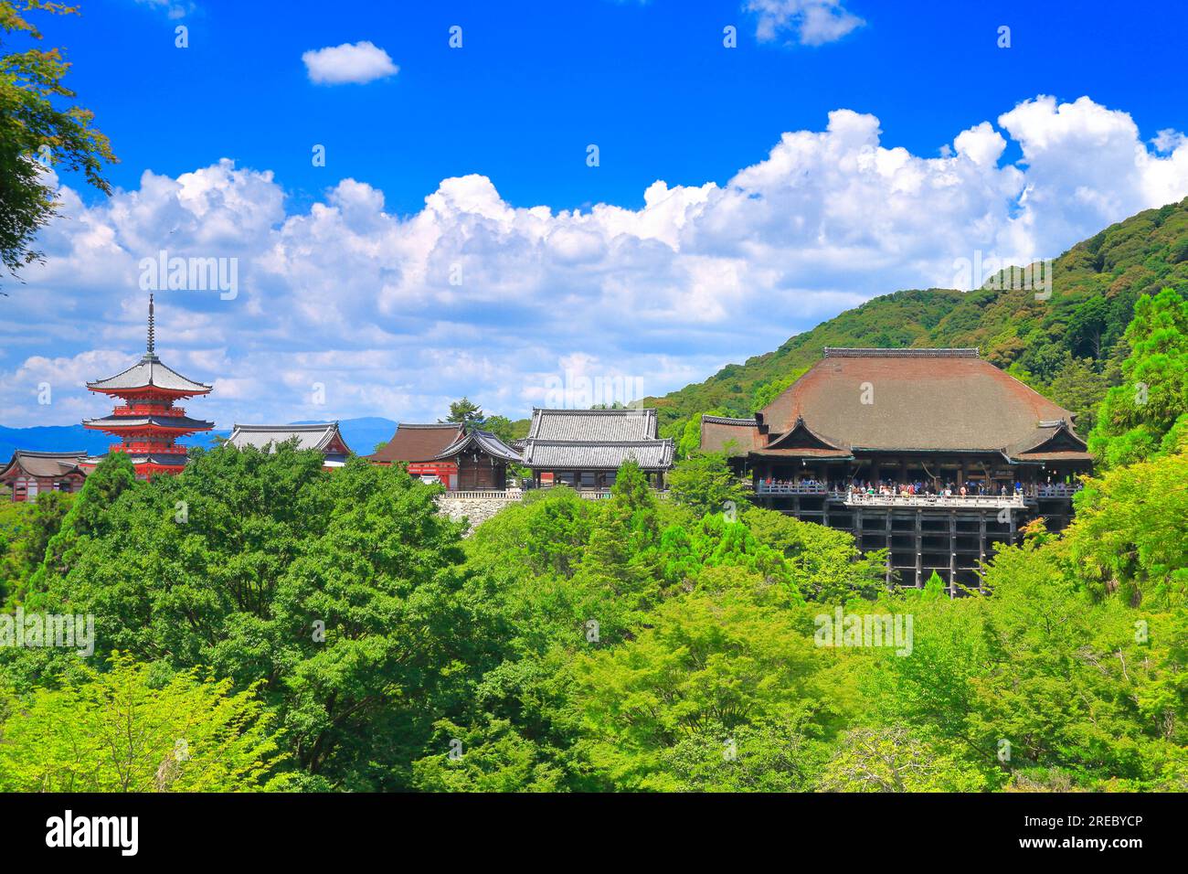 Kiyomizu Temple in summer Stock Photo - Alamy