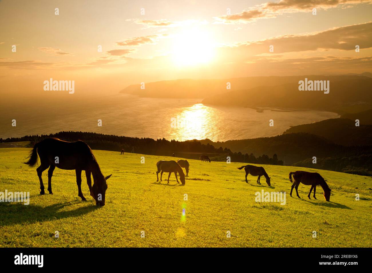 Misaki bay hi-res stock photography and images - Alamy