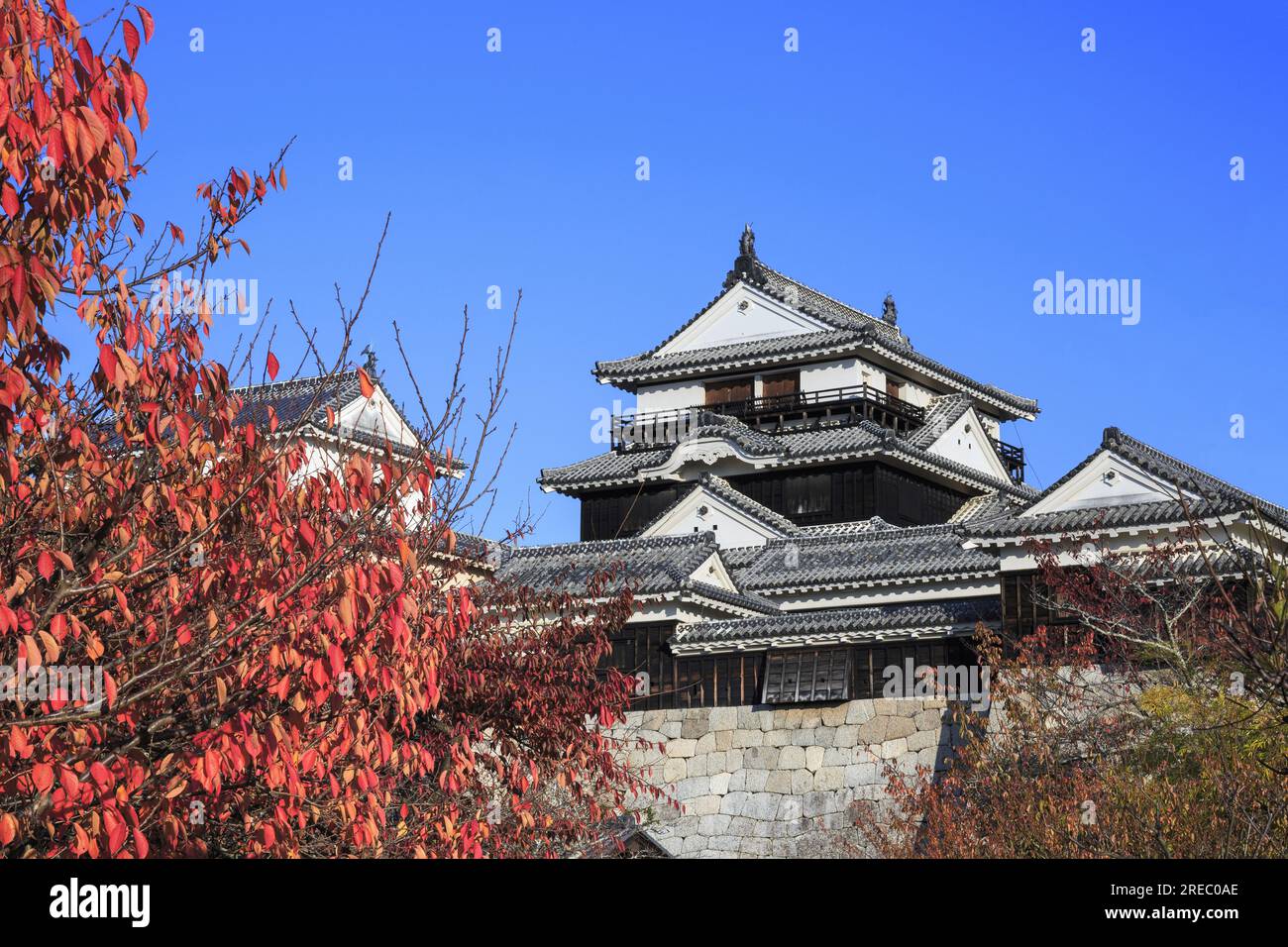 Matsuyama castle shikoku japan hi-res stock photography and images - Alamy