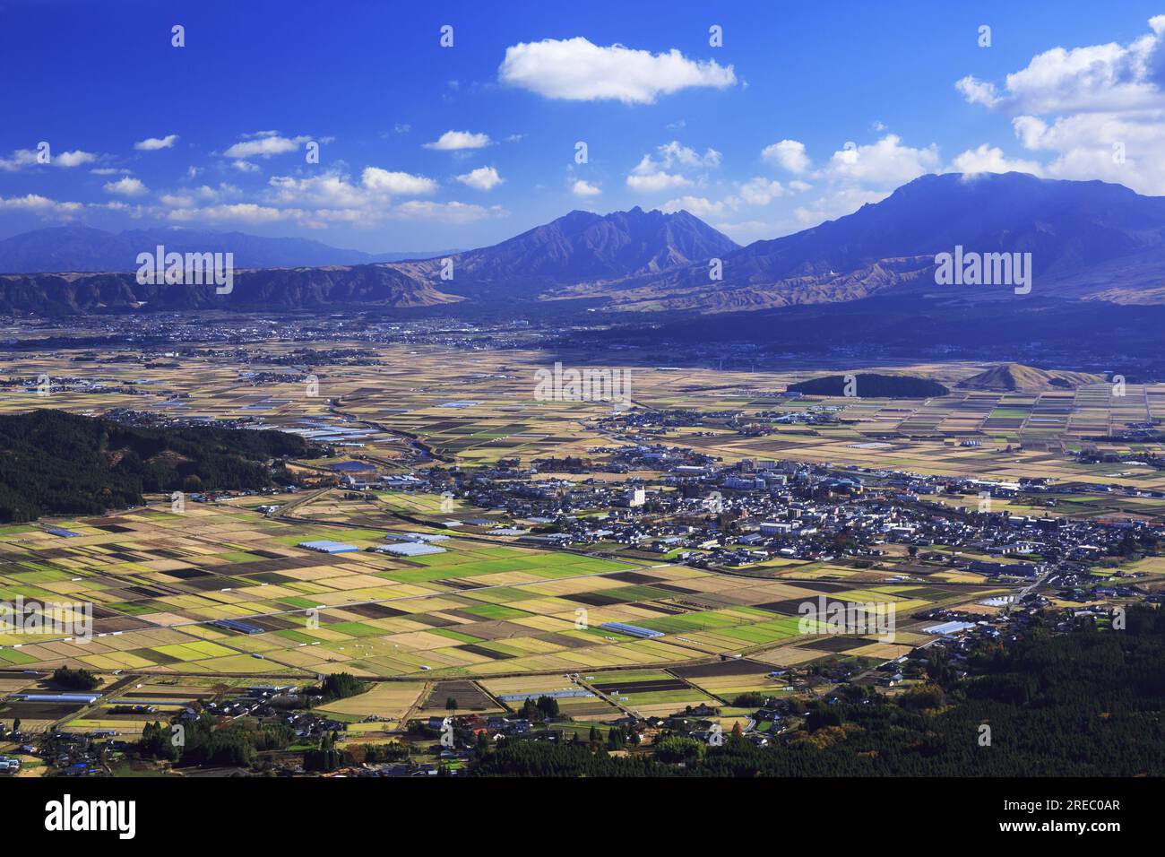 Do aso hi-res stock photography and images - Alamy