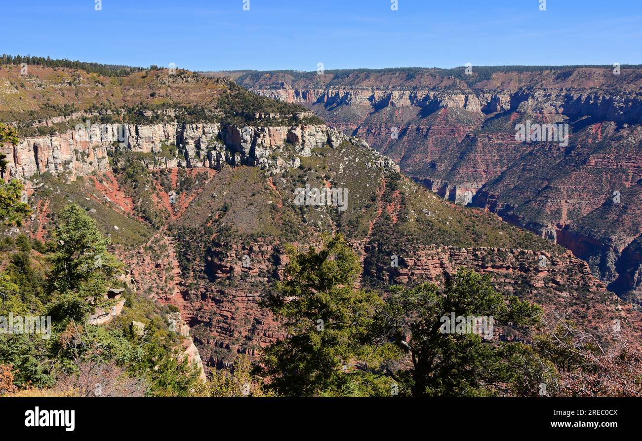 spectacular view from bright angel point in autumn over the north rim ...