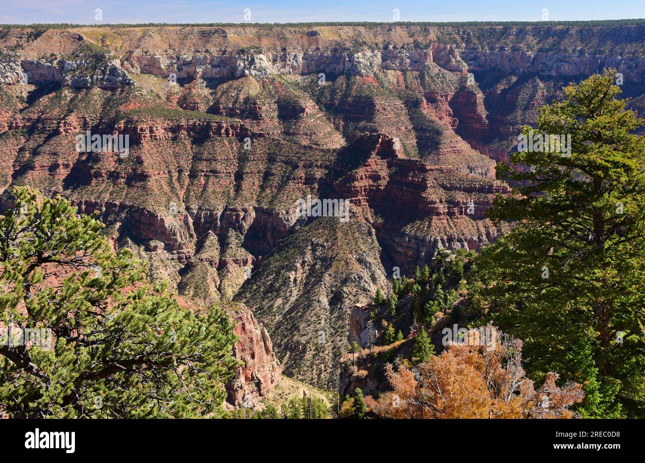 spectacular view from bright angel point in autumn over the north rim ...