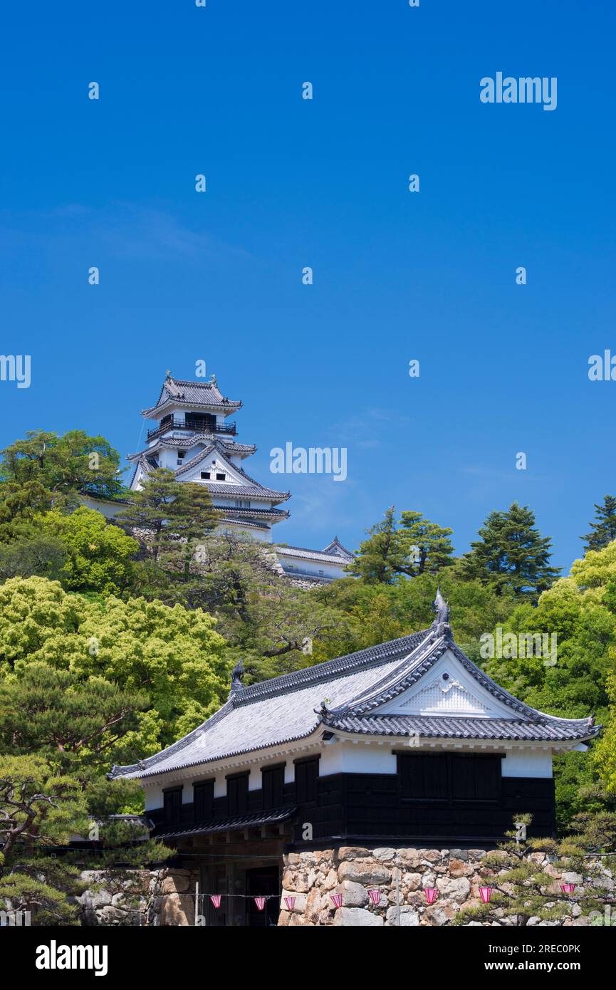 Japan shikoku kochi prefecture kochi hi-res stock photography and ...