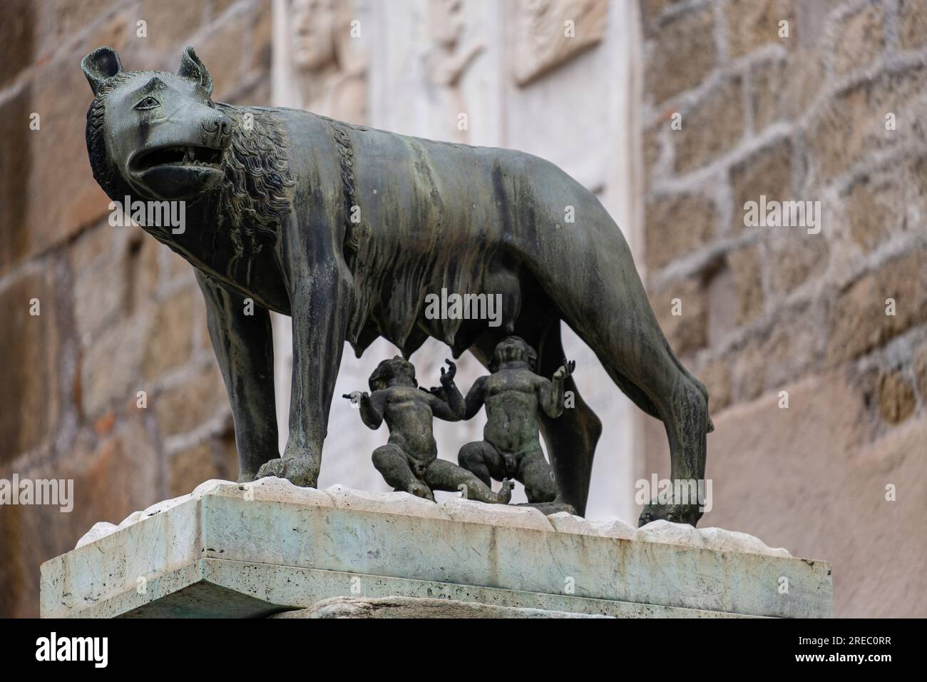 Luperca, the she-wolf who according to Roman mythology nursed Romulus ...