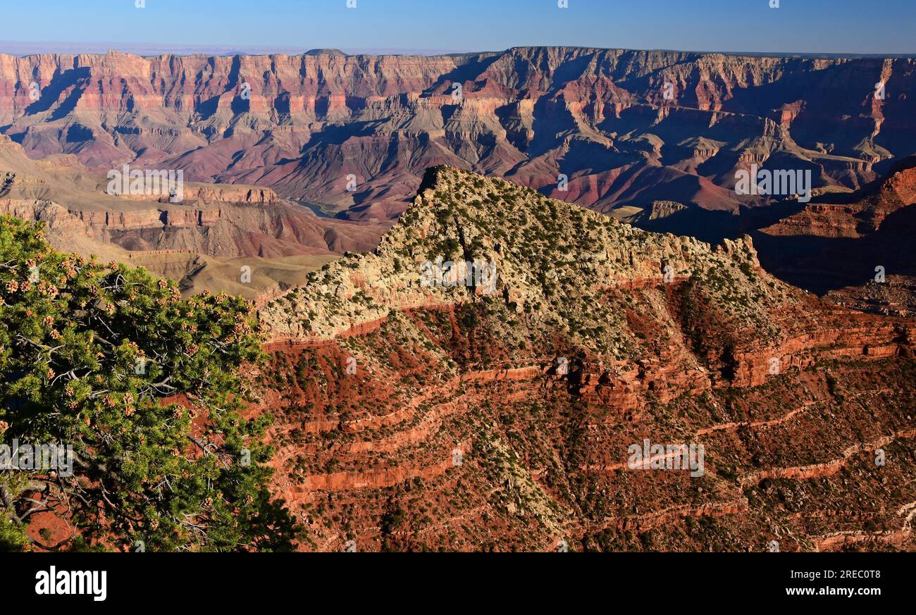 the incredible view out over the north rim of grand canyon national ...