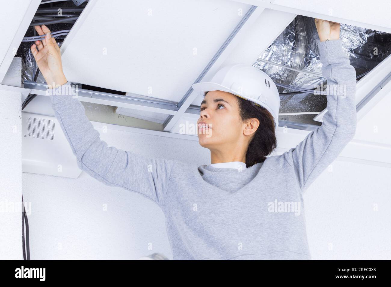 woman in builder uniform installing suspended ceiling Stock Photo - Alamy