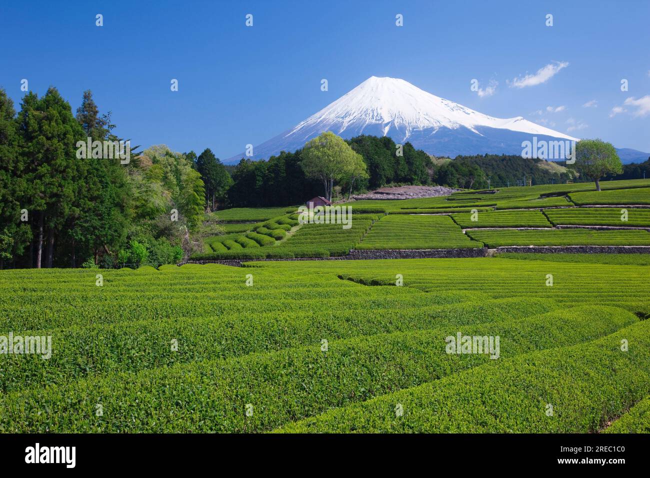 Japanese mountain agriculture hi-res stock photography and images - Alamy