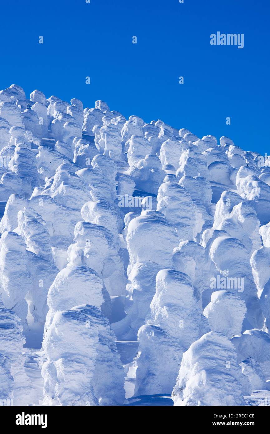 Zao do hi-res stock photography and images - Alamy