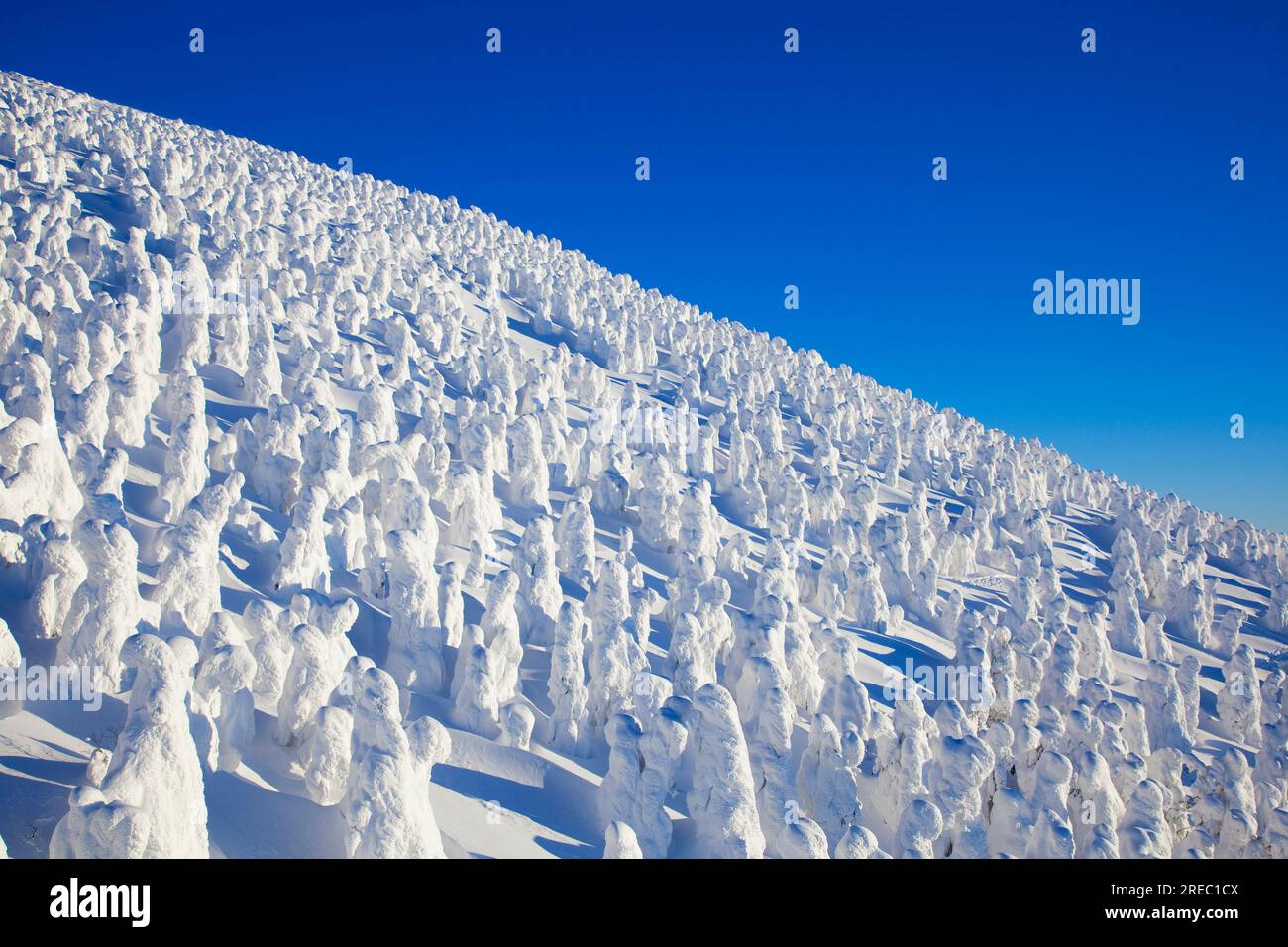 Zao do hi-res stock photography and images - Alamy