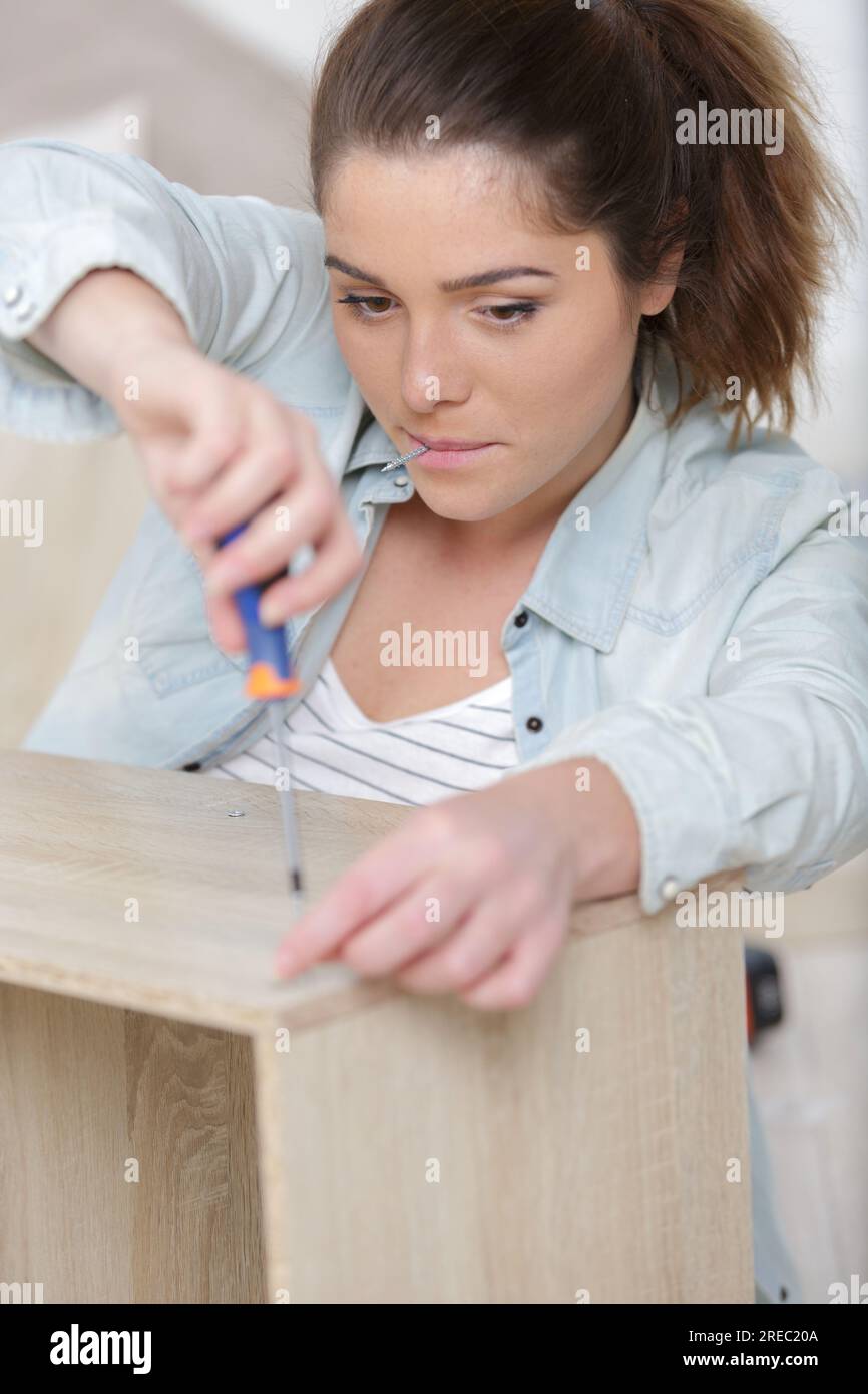 pretty young woman holding screwdriver and repairing furniture Stock ...