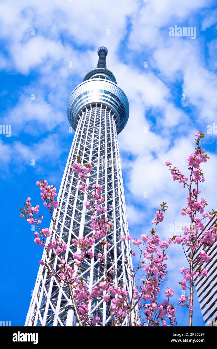 Tokyo Sky Tree Stock Photo - Alamy