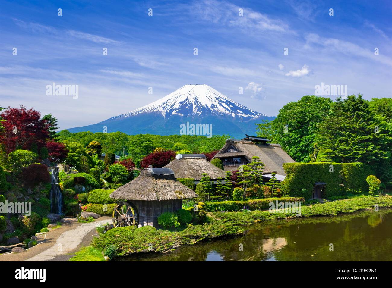 Japanese forests hi-res stock photography and images - Alamy