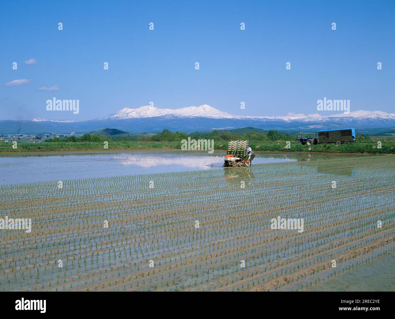 Japan rice planting spring hi-res stock photography and images - Alamy