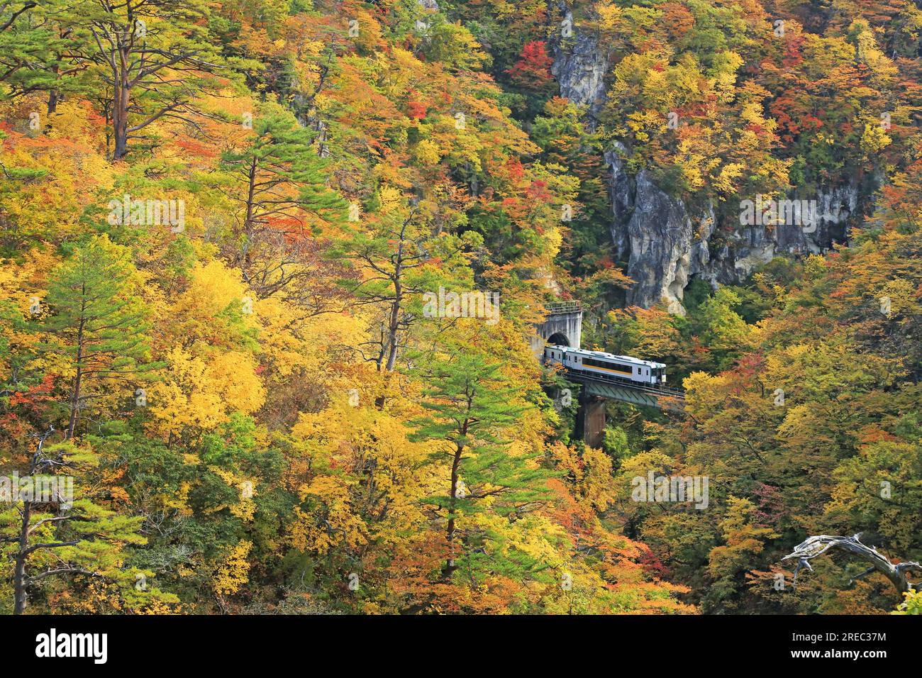Naruko tunnel hi-res stock photography and images - Alamy